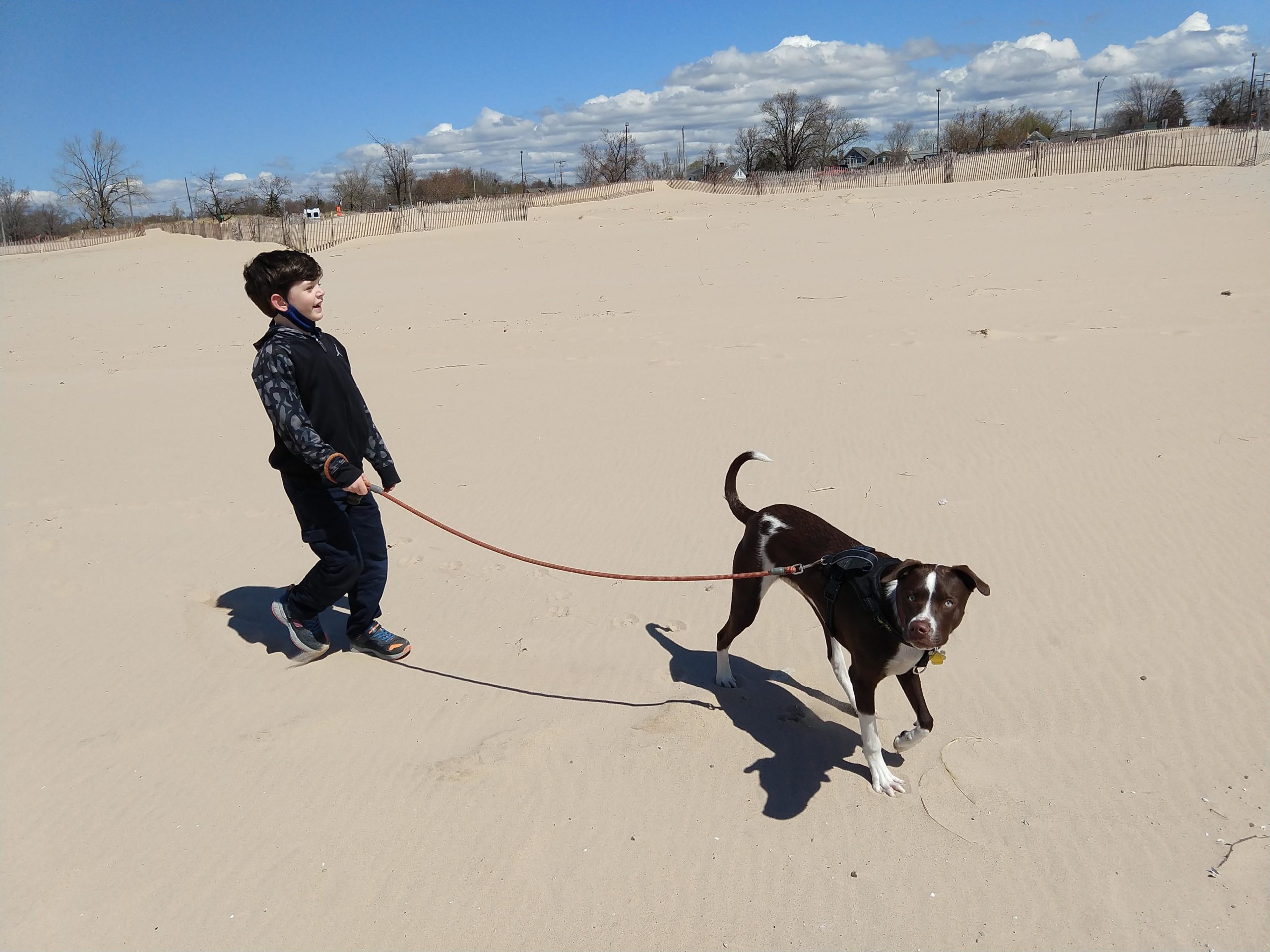 Meet Our Trainer - Baki K9 Dog Training